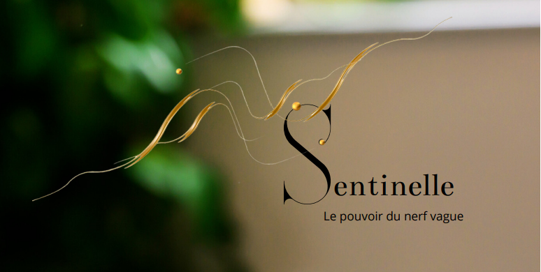 Supra Quantum : Sentinelle - Marie Yamaguchi